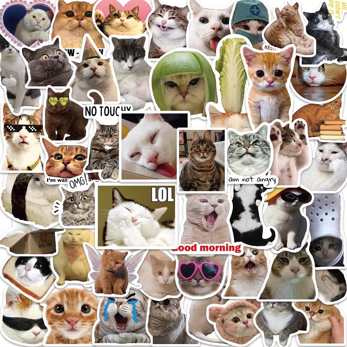 AmaMary 100 Pcs Cute Cat Stickers for Kids Water Bottle Stickers for ...