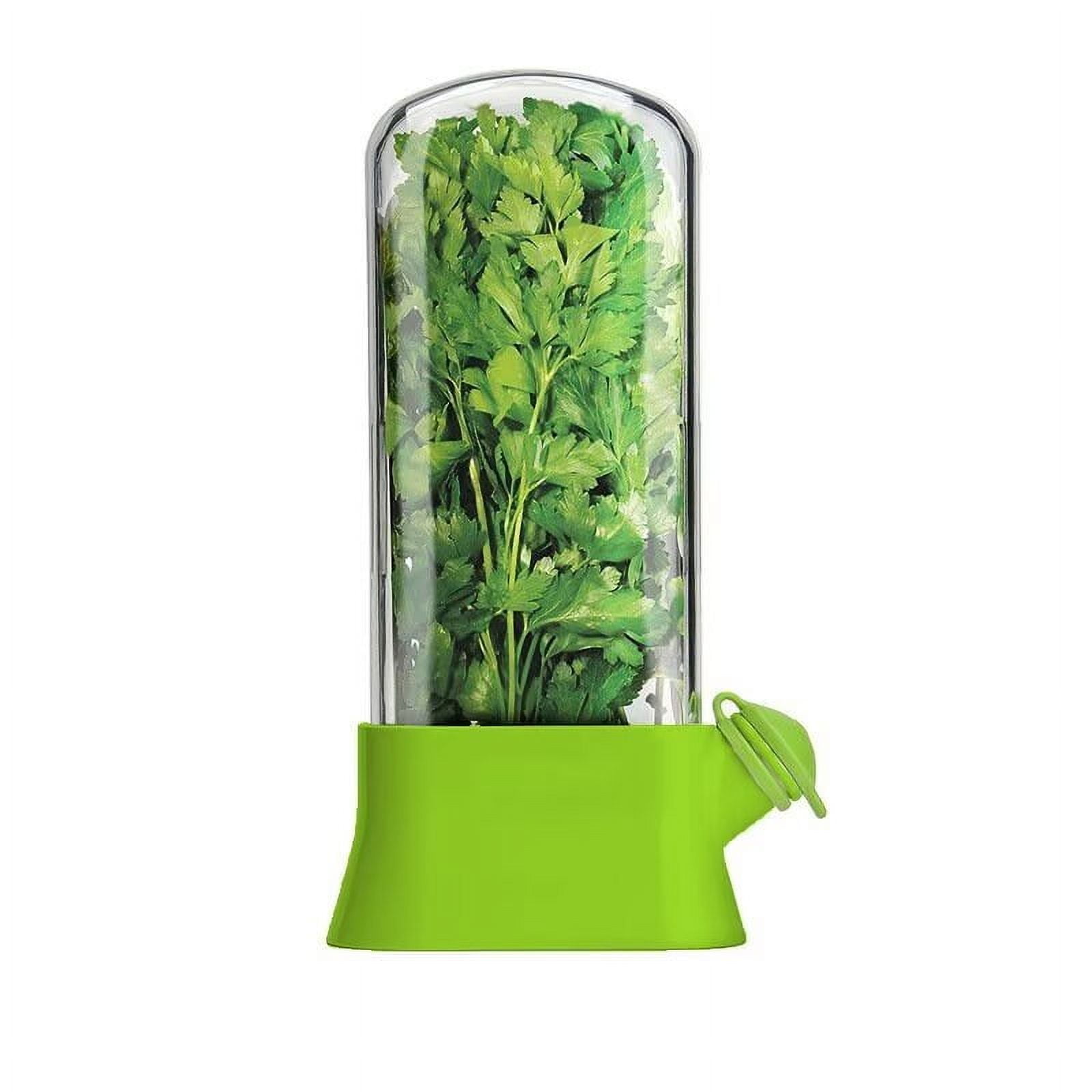 AmaMary Herb Keeper 10.62-Inch Herb Storage Container with Built-In ...