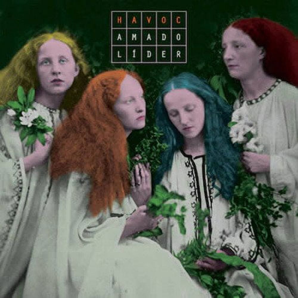 Amado Lider (Audiobook) - Walmart.com