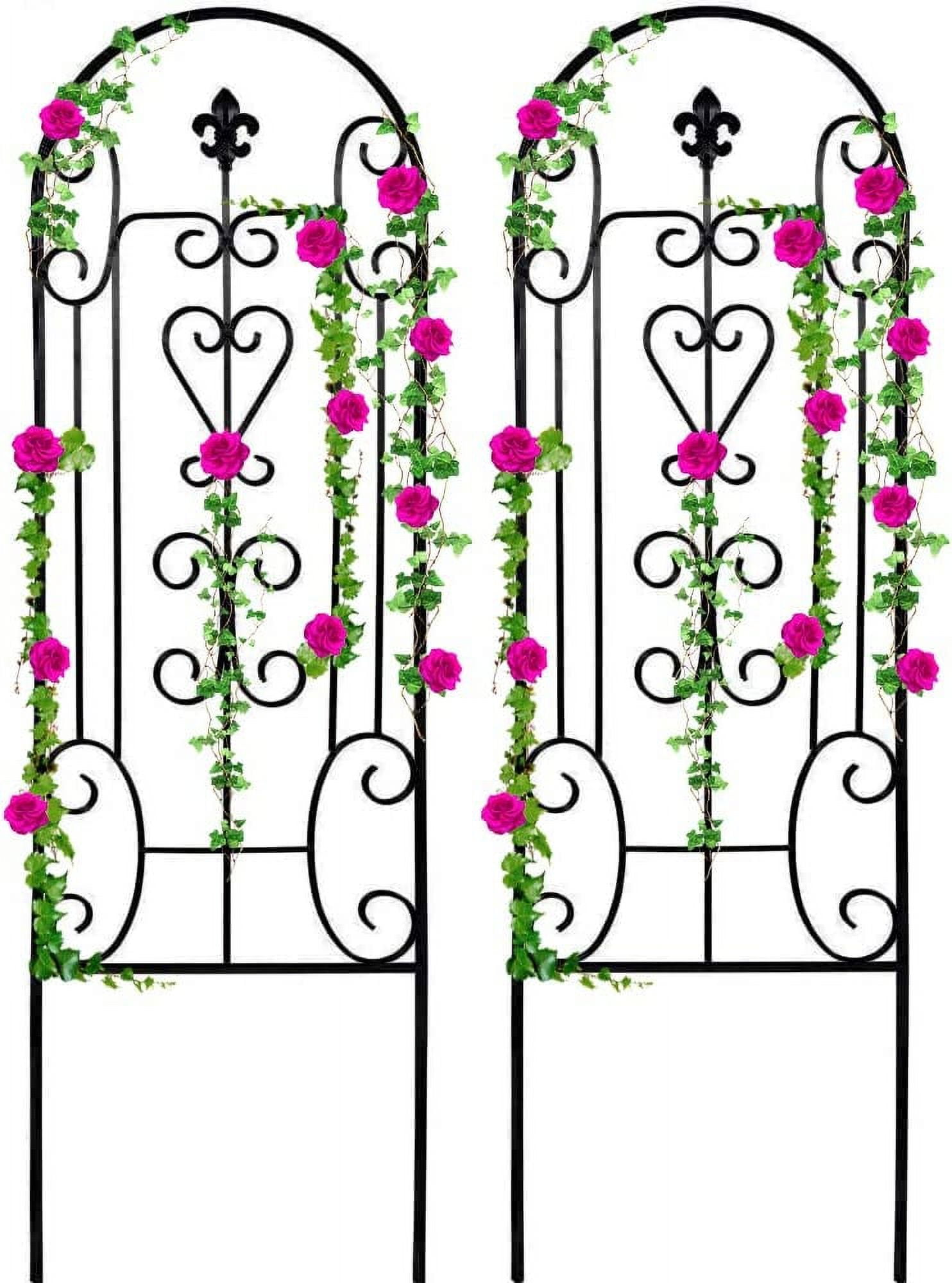 Amagabeli 2 Pack Garden Trellis for Climbing Plants 60" x 18" Black ...