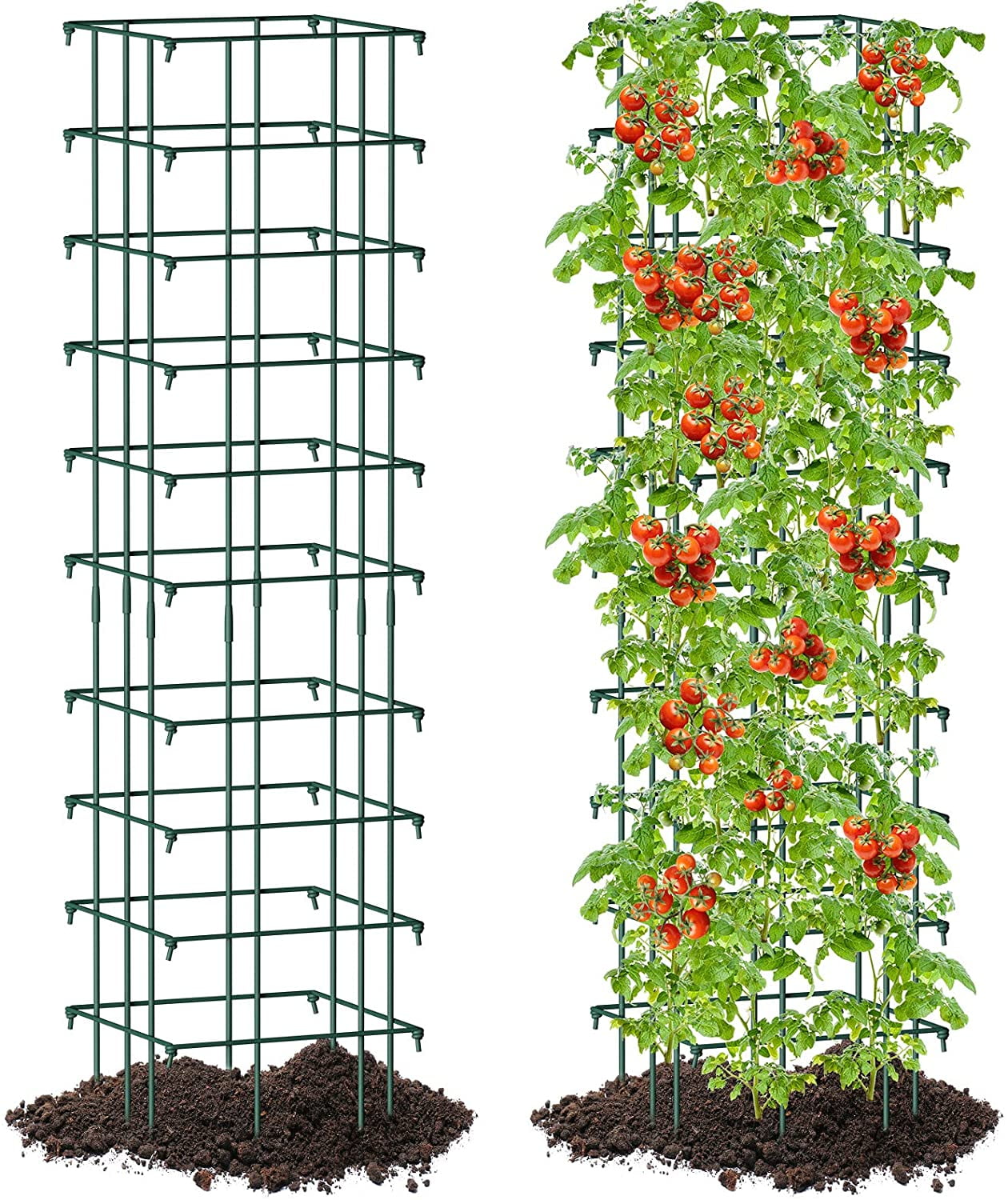 Square Tomato Cage