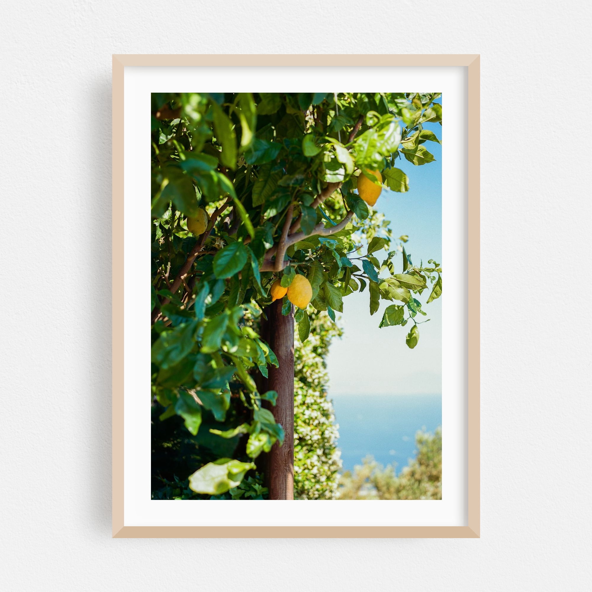 Amalfi Coast Lemons II - Amalfi Campania Italy Photography Lemon Fruit ...