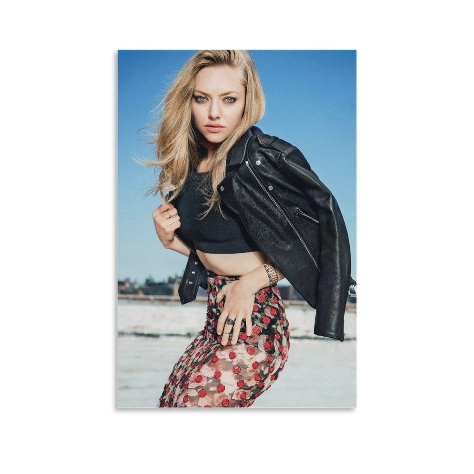 Amanda Seyfried Sexy Poster (26) Canvas Poster Wall Art Picture Prints ...
