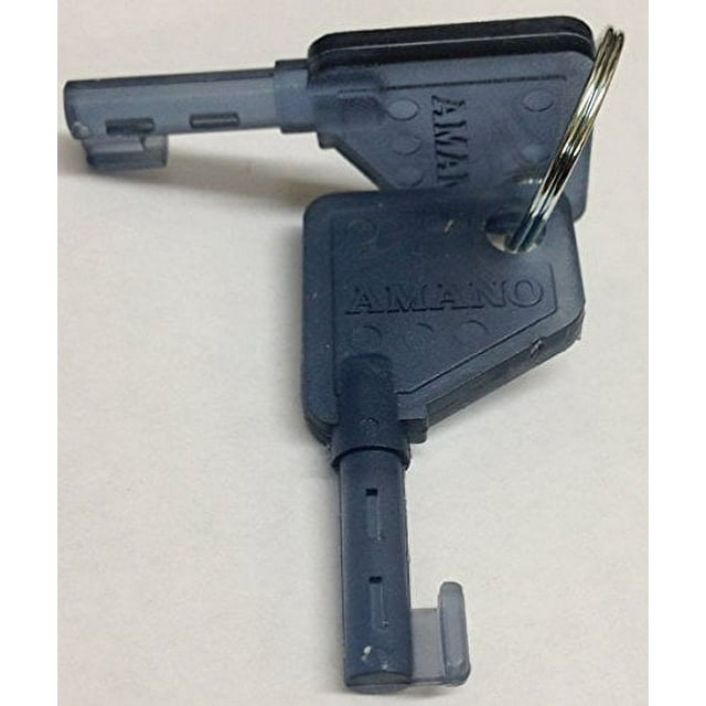 Amano Pix Key - Walmart.com