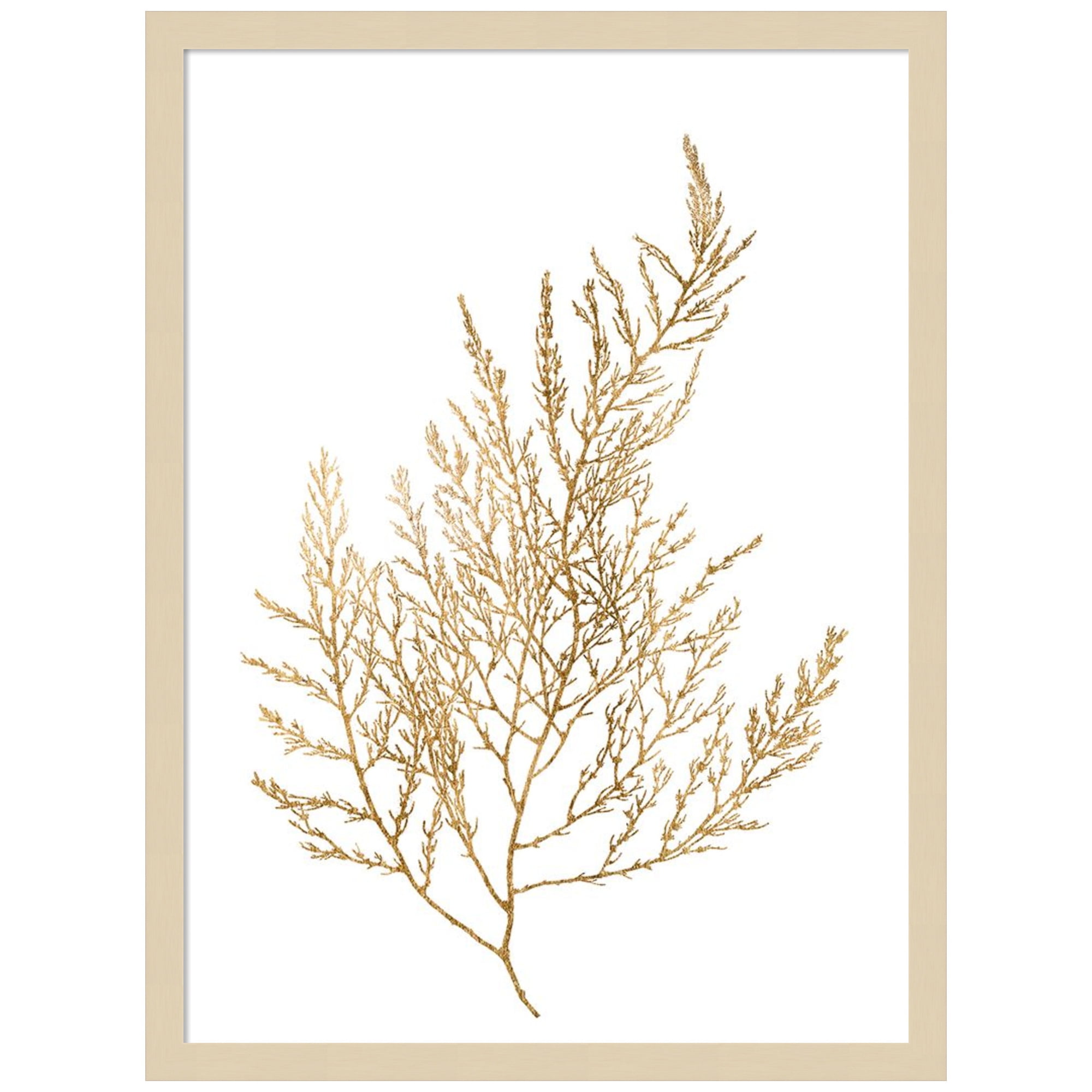 Amanti Art Neutral Algae II Wood Framed Wall Art Print - Walmart.com
