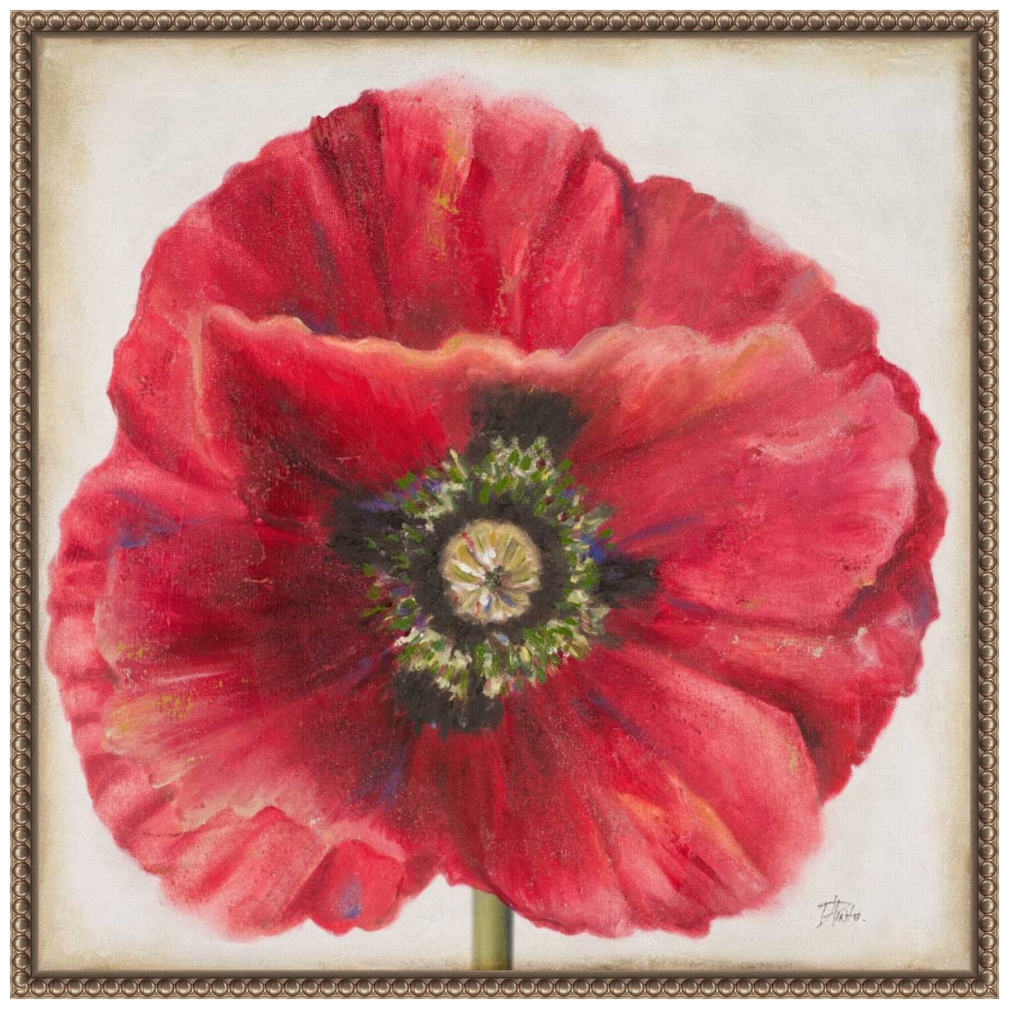 Amanti Art Red Poppy Framed Canvas Wall Art Print - Walmart.com