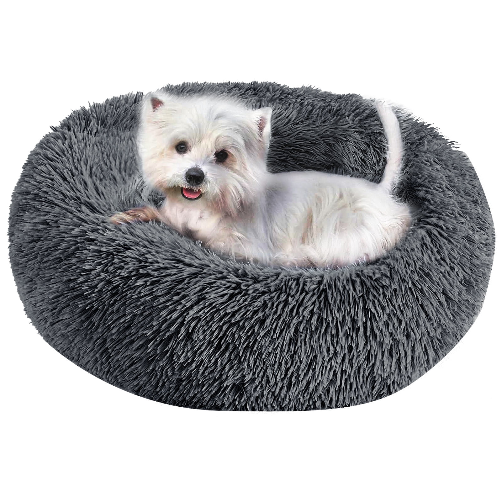 Amaopus Calming Cat Beds for Indoor Cats, 20 inches Small Dog Bed ...