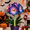 Amaryllis-Blooms every year-Premium Garden Stakes -Fast-Growing bulbs ...