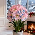Amaryllis-Blooms every year-Premium Garden Stakes -Fast-Growing bulbs ...