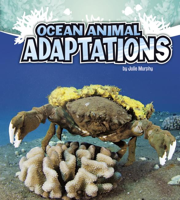 Amazing Animal Adaptations Ocean Animal Adaptations, (Paperback ...