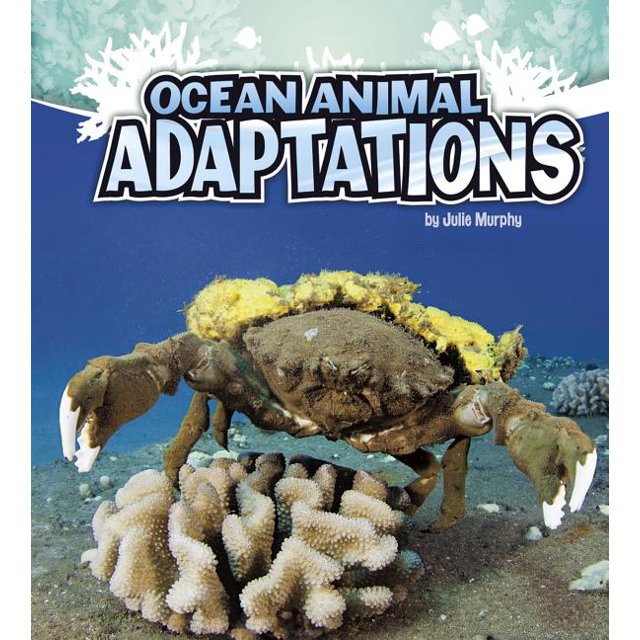 Amazing Animal Adaptations: Ocean Animal Adaptations (Paperback ...