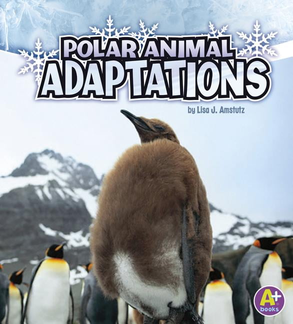Amazing Animal Adaptations Polar Animal Adaptations, (Paperback ...