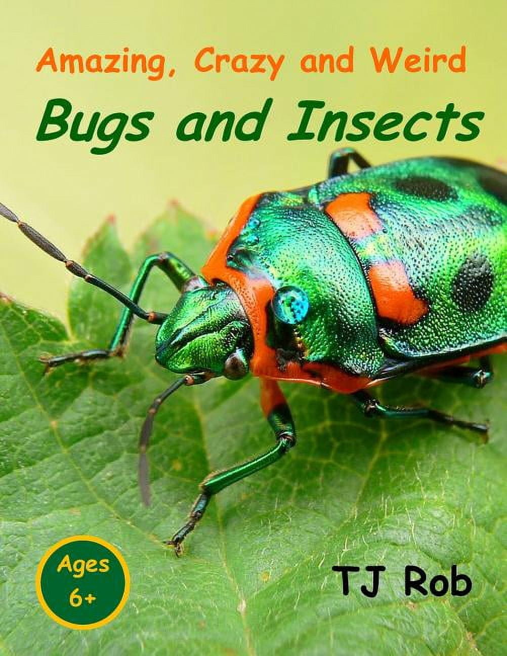 Amazing, Crazy and Weird Bugs and Insects : (Age 5 - 8) - Walmart.com