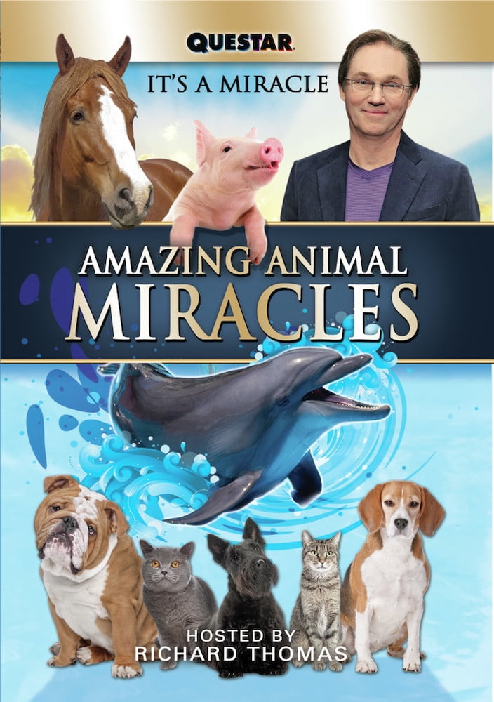 Amazing Animal Miracles - Walmart.com