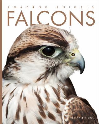 Pre-Owned Amazing Animals: Amazing Animals: Falcons (Paperback ...