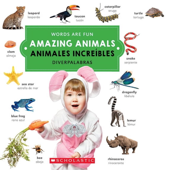 Amazing Animals Animales increibles (Board Book) - Walmart.com