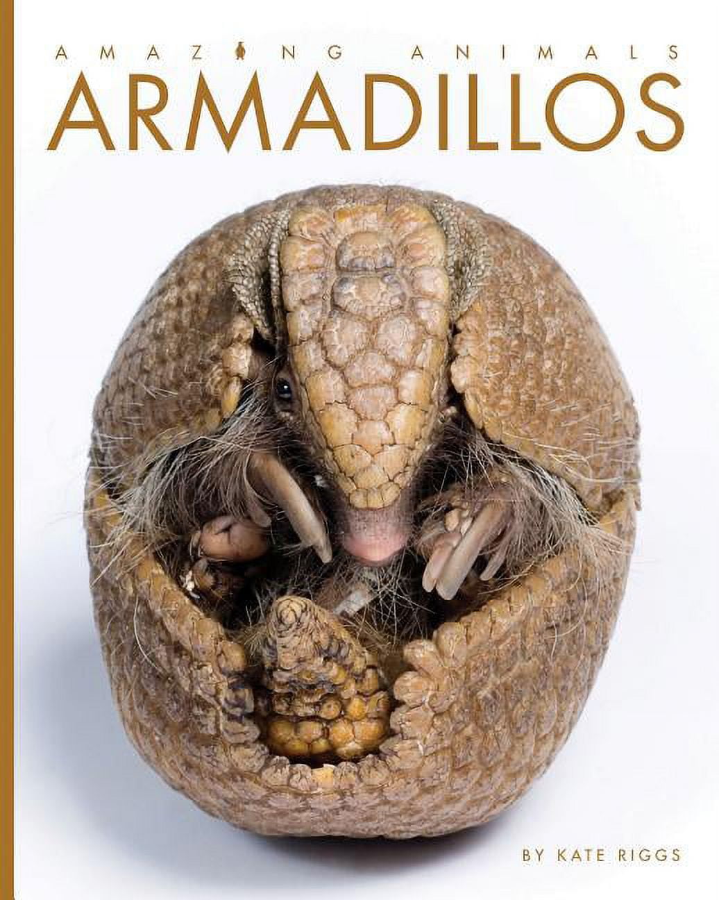 Amazing Animals: Armadillos (Paperback) - Walmart.com