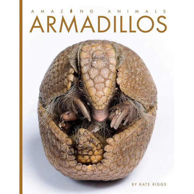 Amazing Animals: Armadillos (Paperback) - Walmart.com