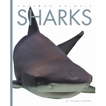 Animal Rivals: Shark vs. Killer Whale (Paperback) - Walmart.com