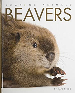 Pre-Owned Amazing Animals Beavers (Library Binding) 1608184862 ...