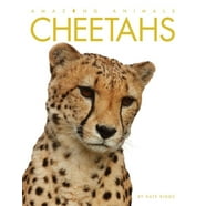 Big Cats: Discover Series Picture Book for Children (Paperback ...