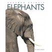 World of Amazement: Amazing Animals of the World (Hardcover) - Walmart.com