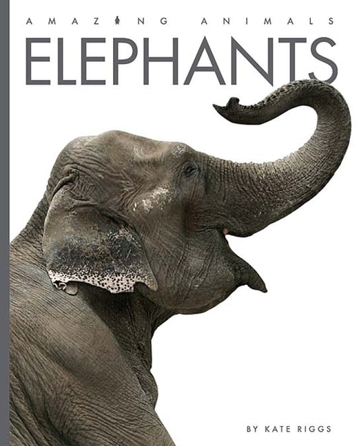 Amazing Animals Elephants, (Paperback) - Walmart.com
