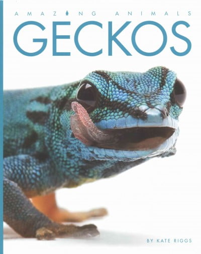 Amazing Animals Geckos (Hardcover) by Kate Riggs - Walmart.com