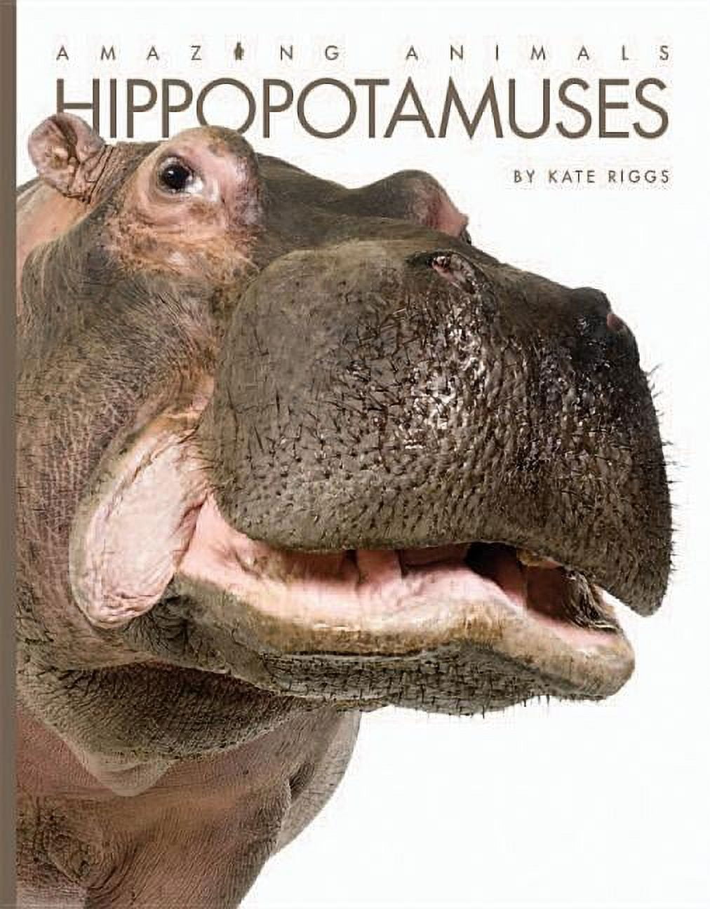 Amazing Animals: Hippopotamuses (Paperback) - Walmart.com