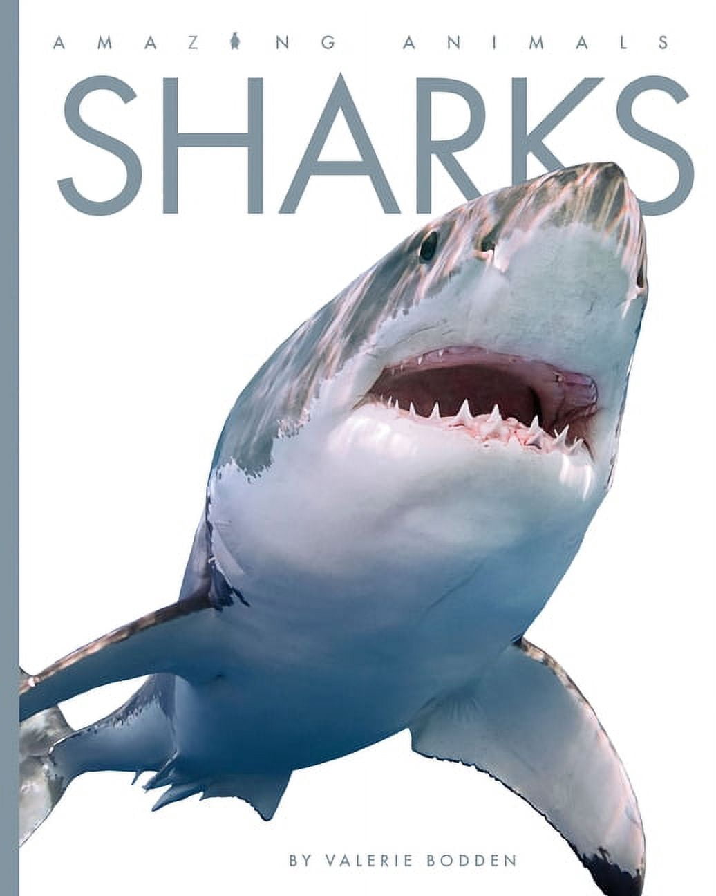 Amazing Animals Sharks, (Hardcover) - Walmart.com