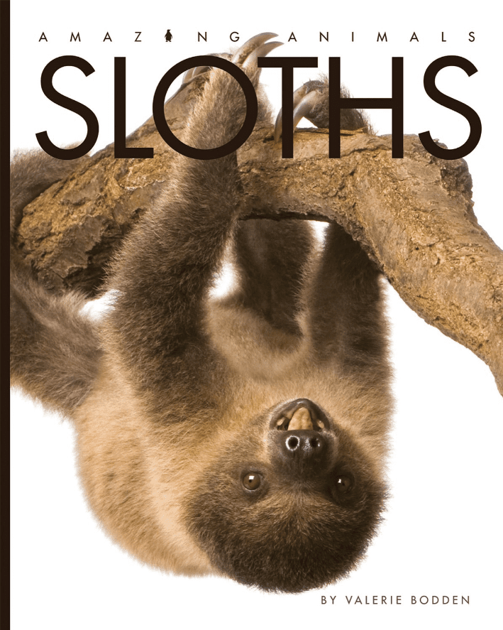 Amazing Animals: Sloths (Hardcover) - Walmart.com