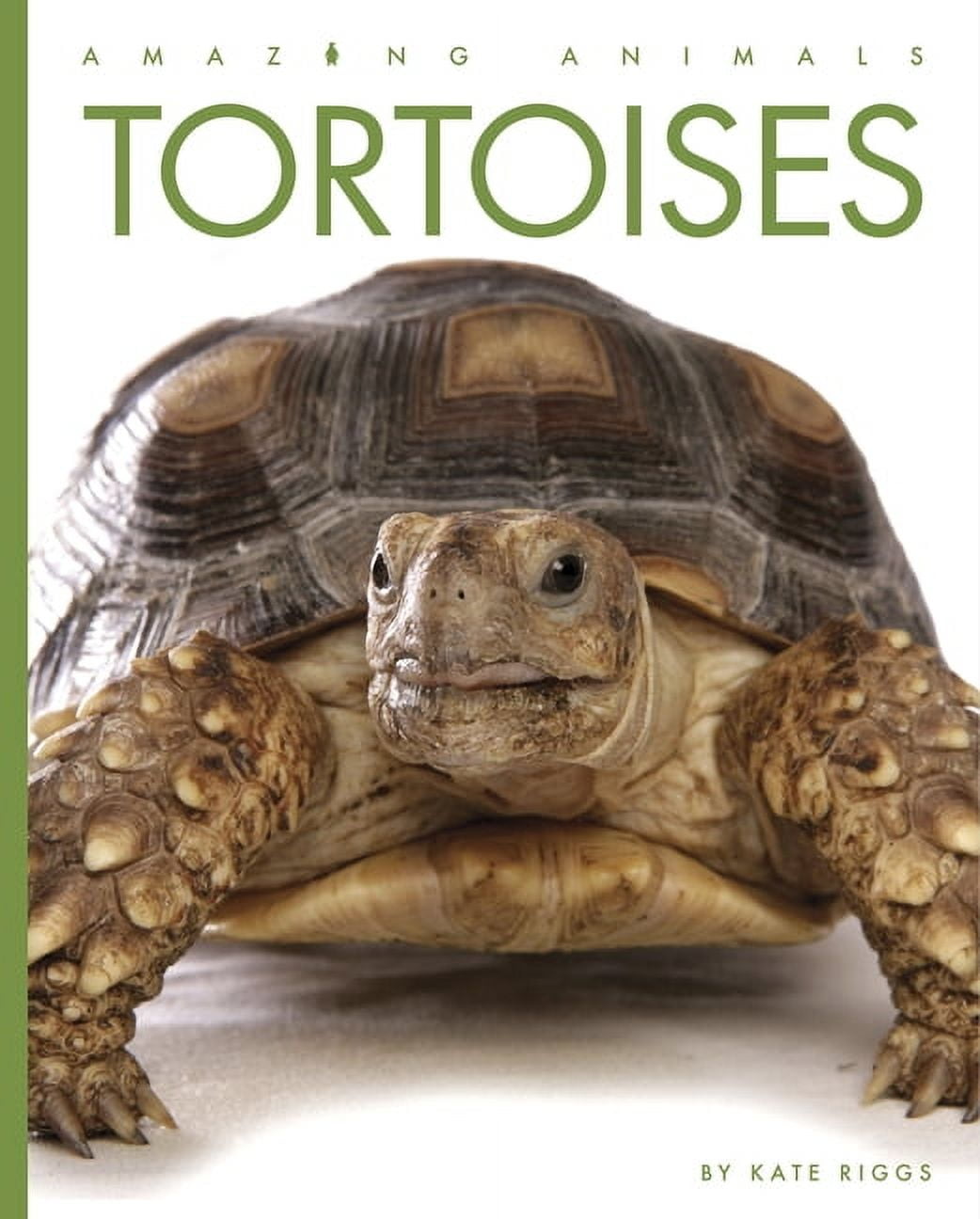 Amazing Animals Tortoises, (Paperback) - Walmart.com