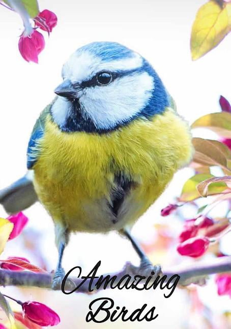 Amazing Birds: Coloring Book for Adults. Paperback - Walmart.com