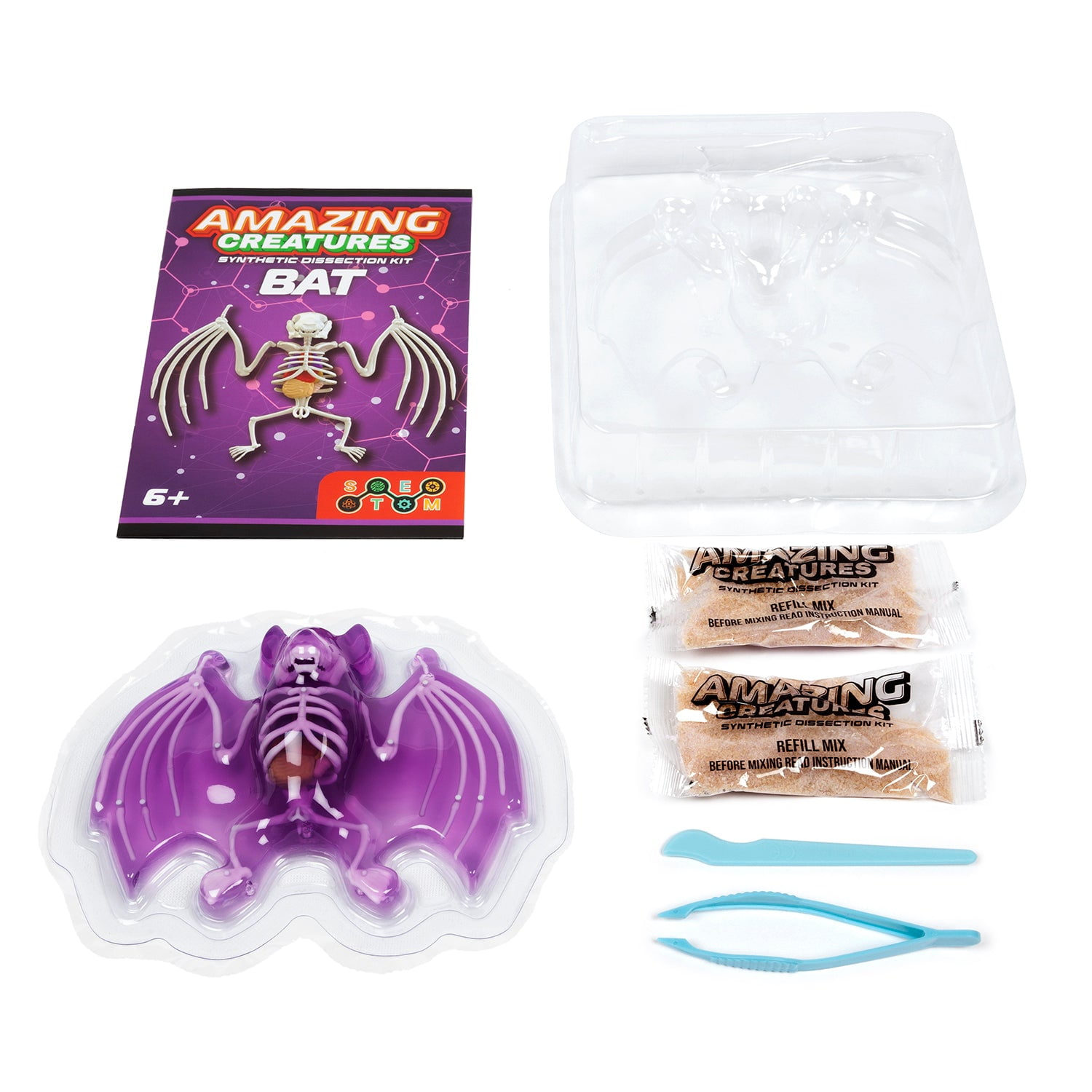 Amazing Creatures Synthetic Dissection Kit - Bat - Walmart.com