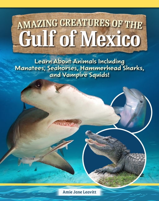 Amazing Creatures of the Gulf of Mexico: Learn about Animals Including ...