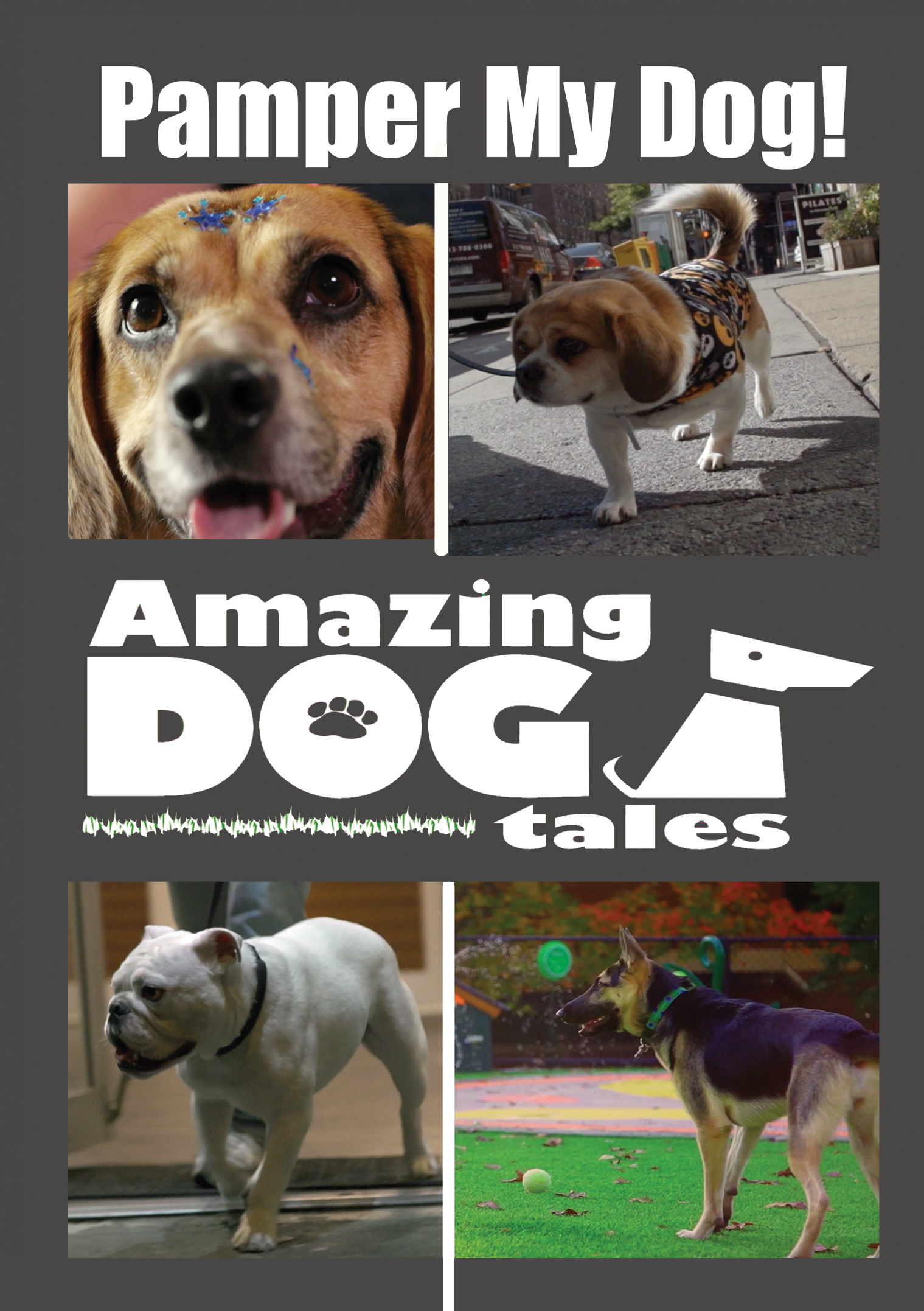 Amazing Dog Tales - Pamper My Dog! - Walmart.com