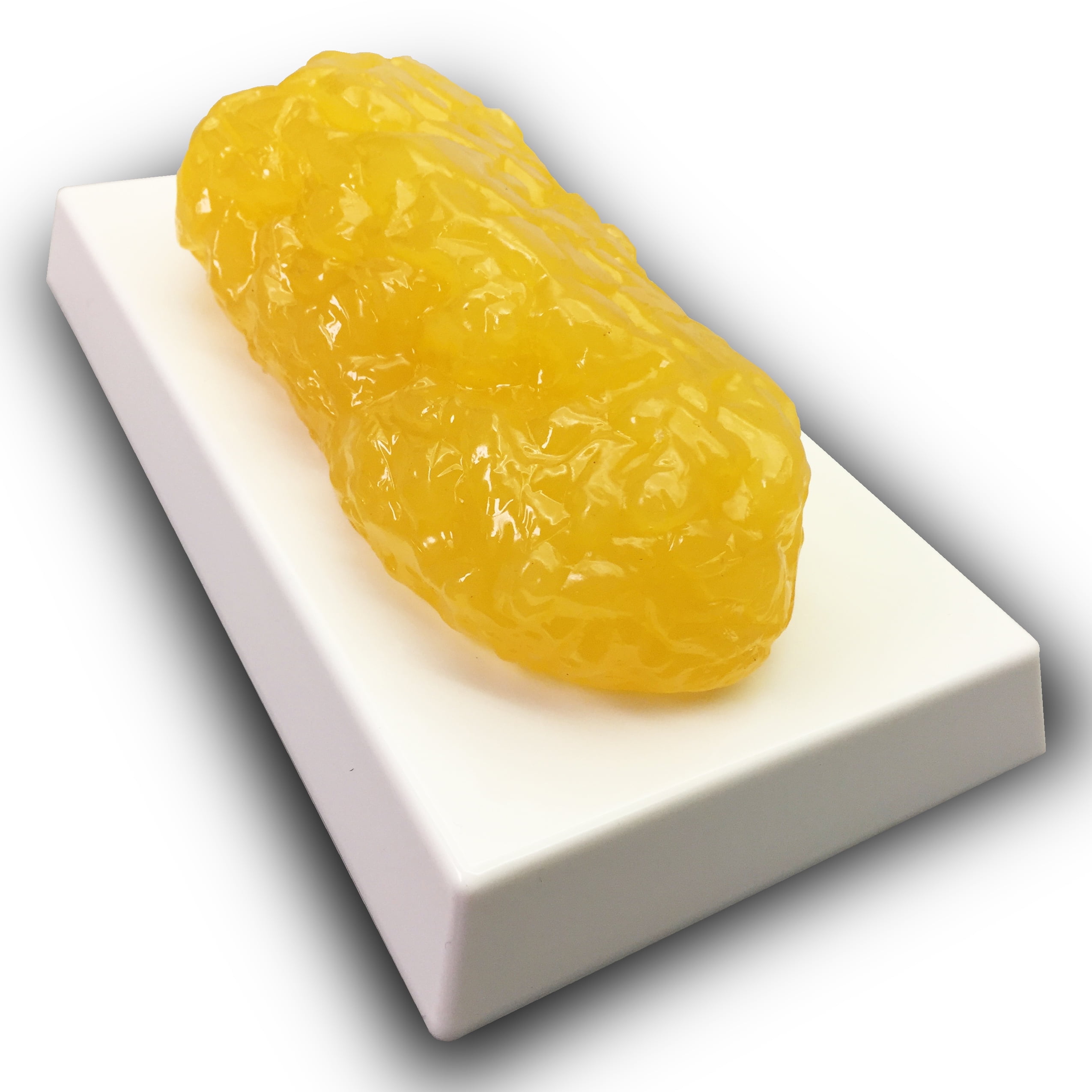 Amazing Fat Replica 1lb – Realistic Anatomic Fat Model – Accurate Feel ...