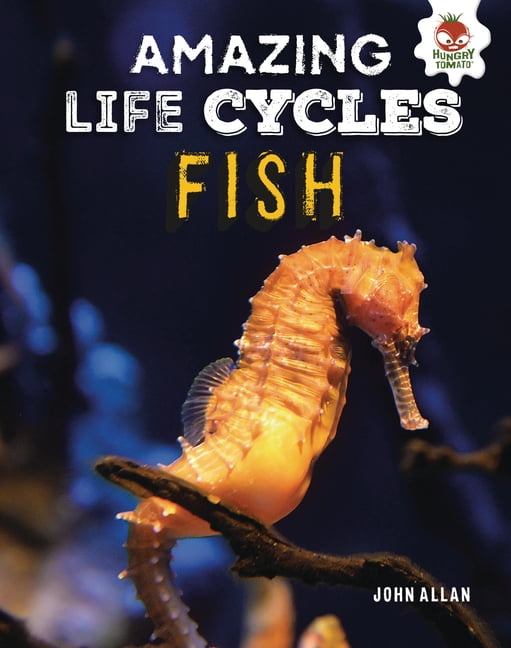 Amazing Life Cycles: Fish (Hardcover) - Walmart.com