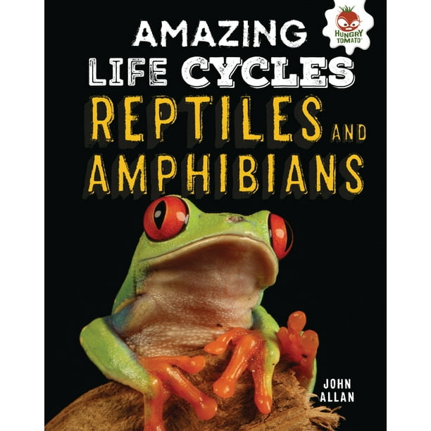 Amazing Life Cycles: Reptiles and Amphibians (Hardcover) - Walmart.com