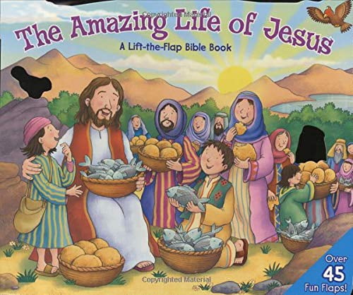 Pre-Owned Amazing Life of Jesus: Lift-The-Flap: A Lift-The-Flap Bible ...