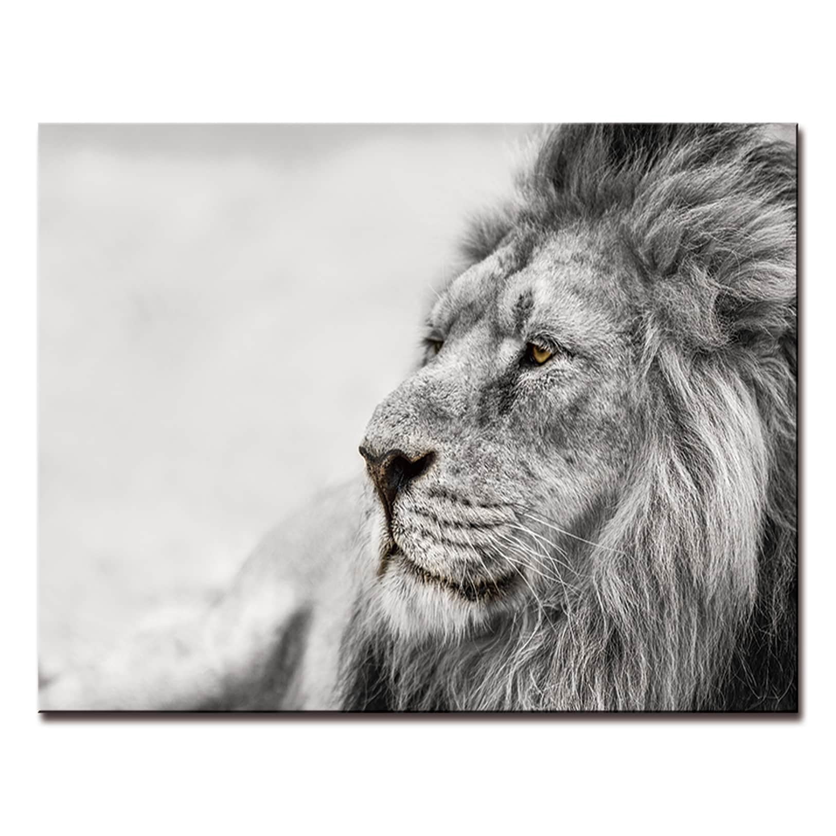 Amazing Rugs LLC Oppidan Home "Observing Lion" Acrylic Wall Art (40"H x ...
