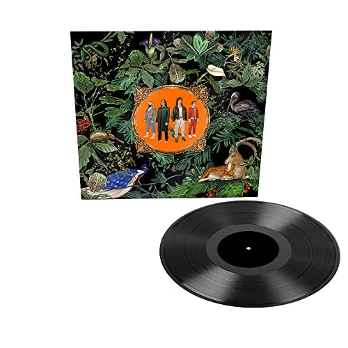 Amazing Things (LP) - Walmart.com