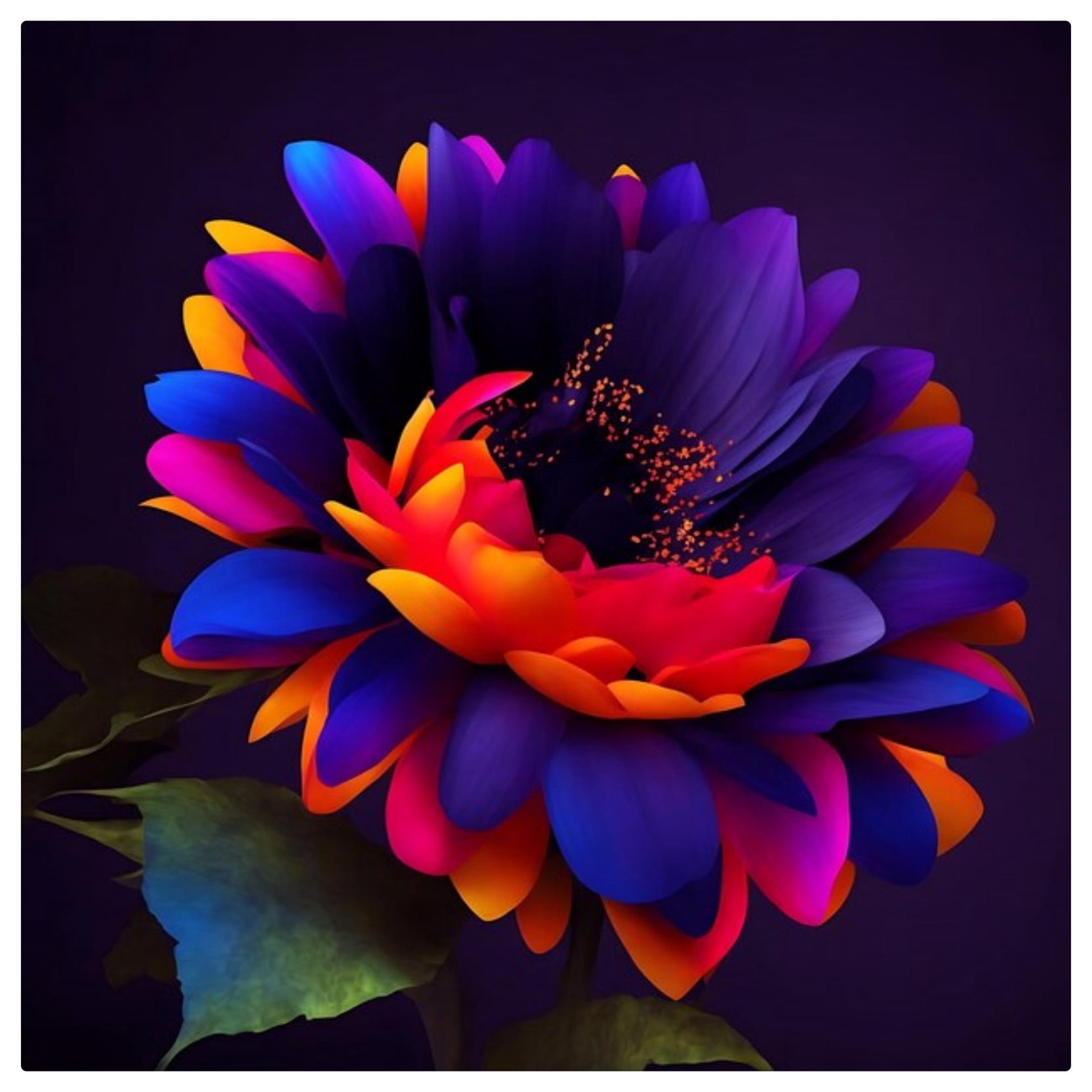 Amazing decoration----Dahlia tubers----garden beautification-fast ...