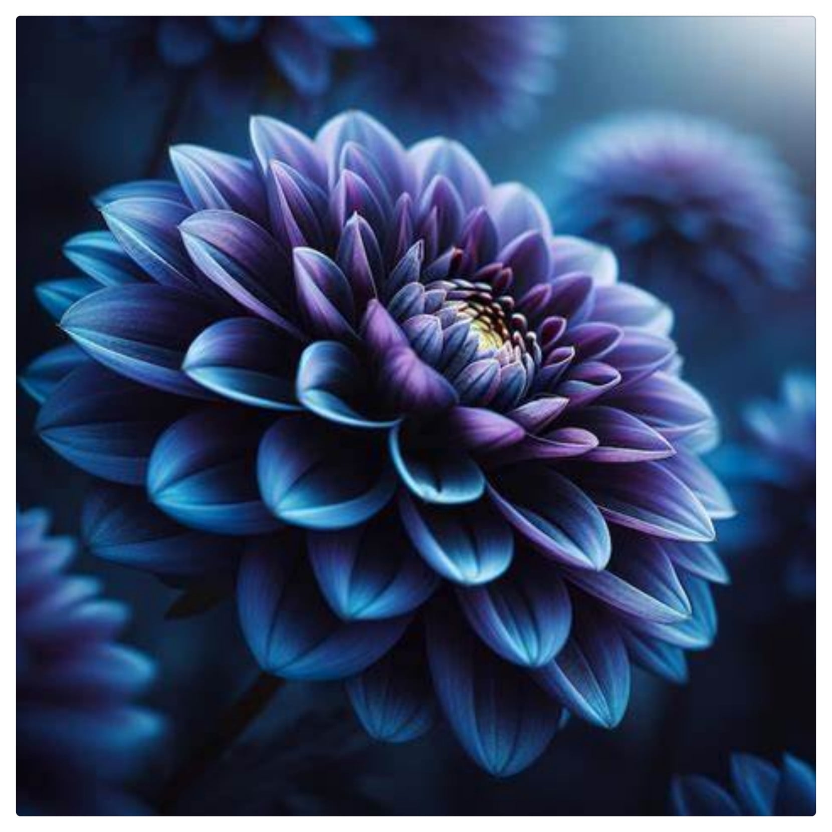 Amazing decoration----Dahlia tubers----garden beautification-fast ...