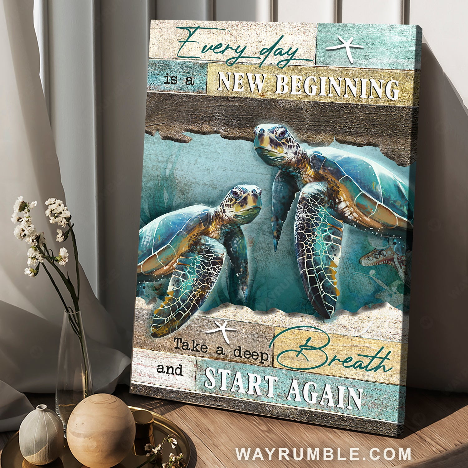 Amazing sea turtle, Deep ocean, White starfish, Every day is a new ...