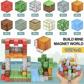 Magnetic Minecraft