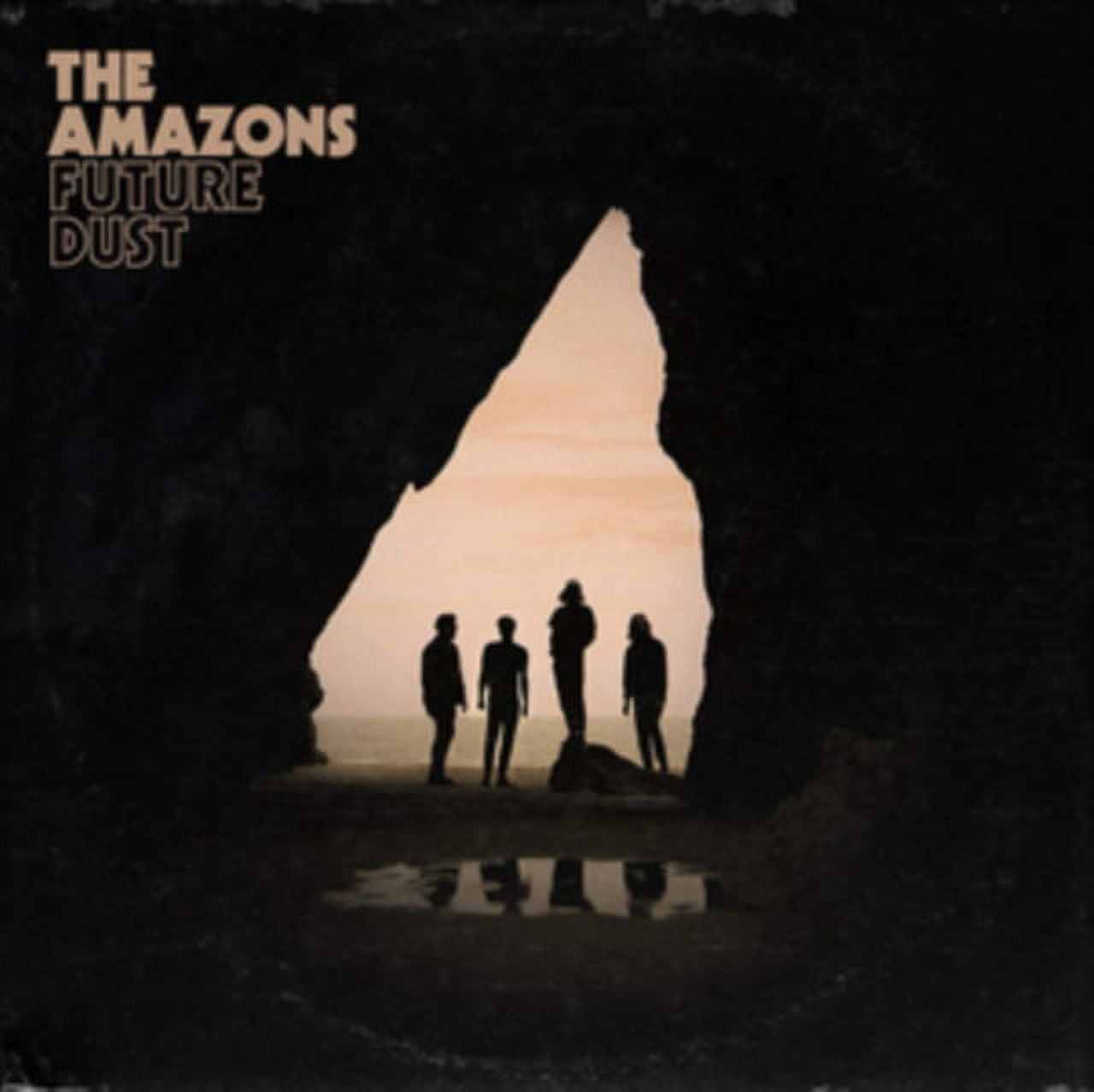 Amazons - Future Dust - Vinyl - Walmart.com