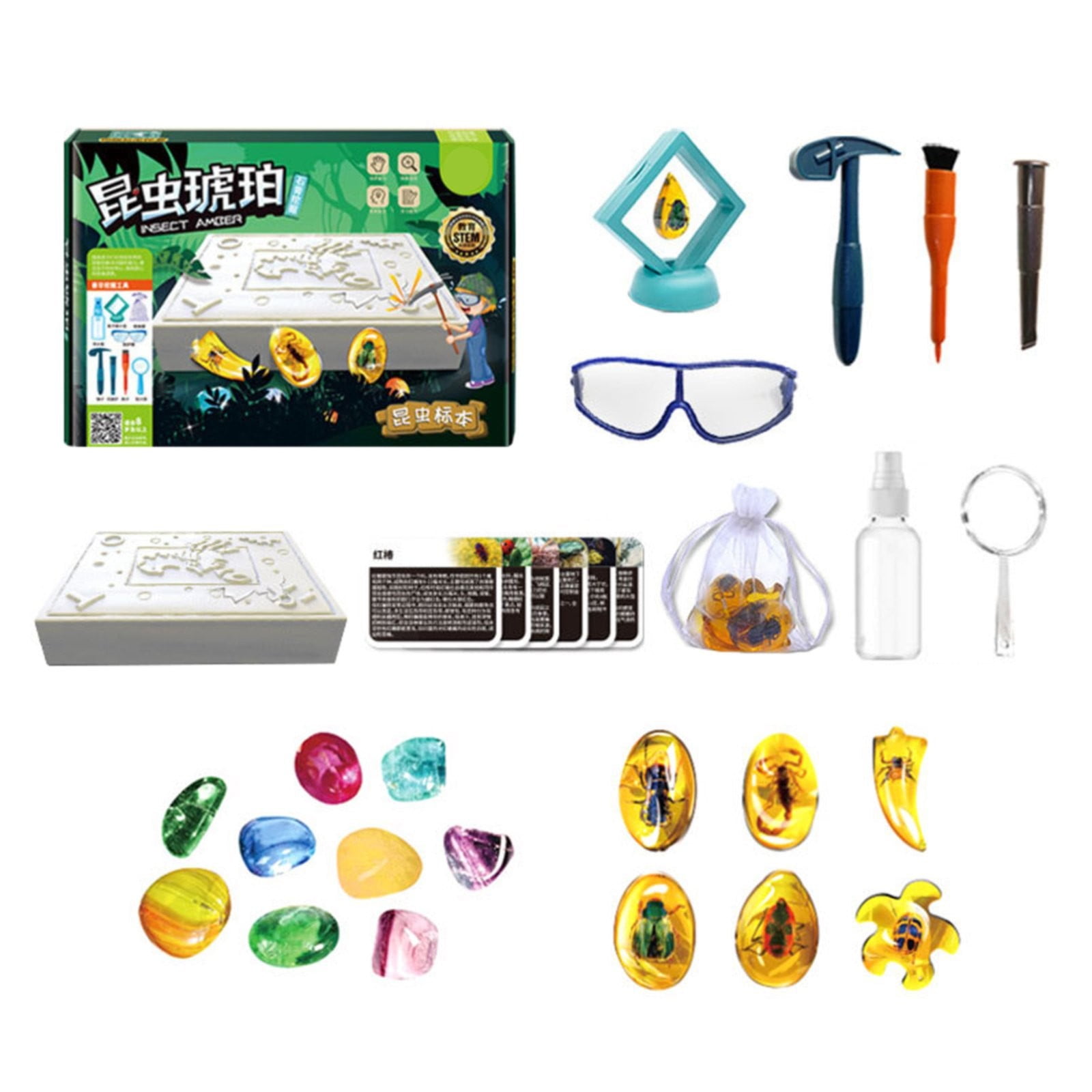 Amber Dig Kit, 6 Artificial Plant Resin Specimens, Fossil Dig Up Kit ...