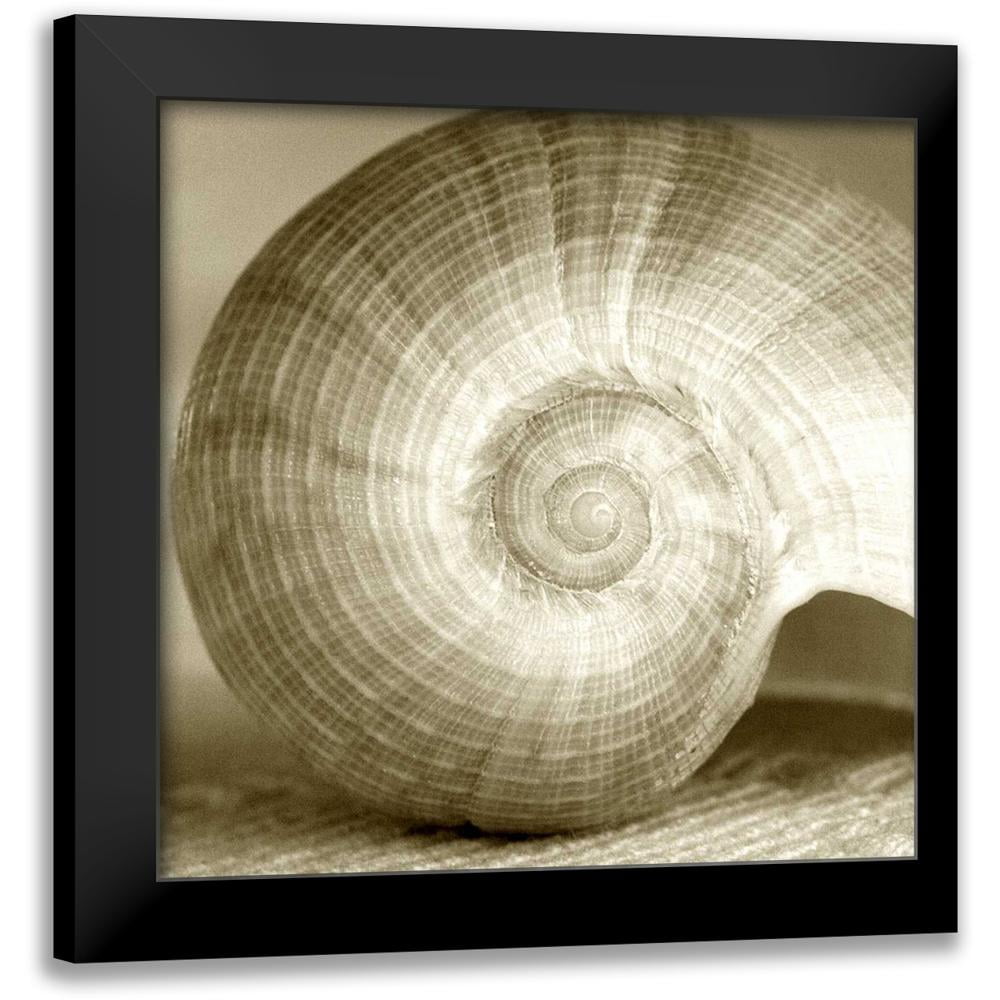 Amber Light Gallery 20x20 Black Modern Framed Museum Art Print Titled ...