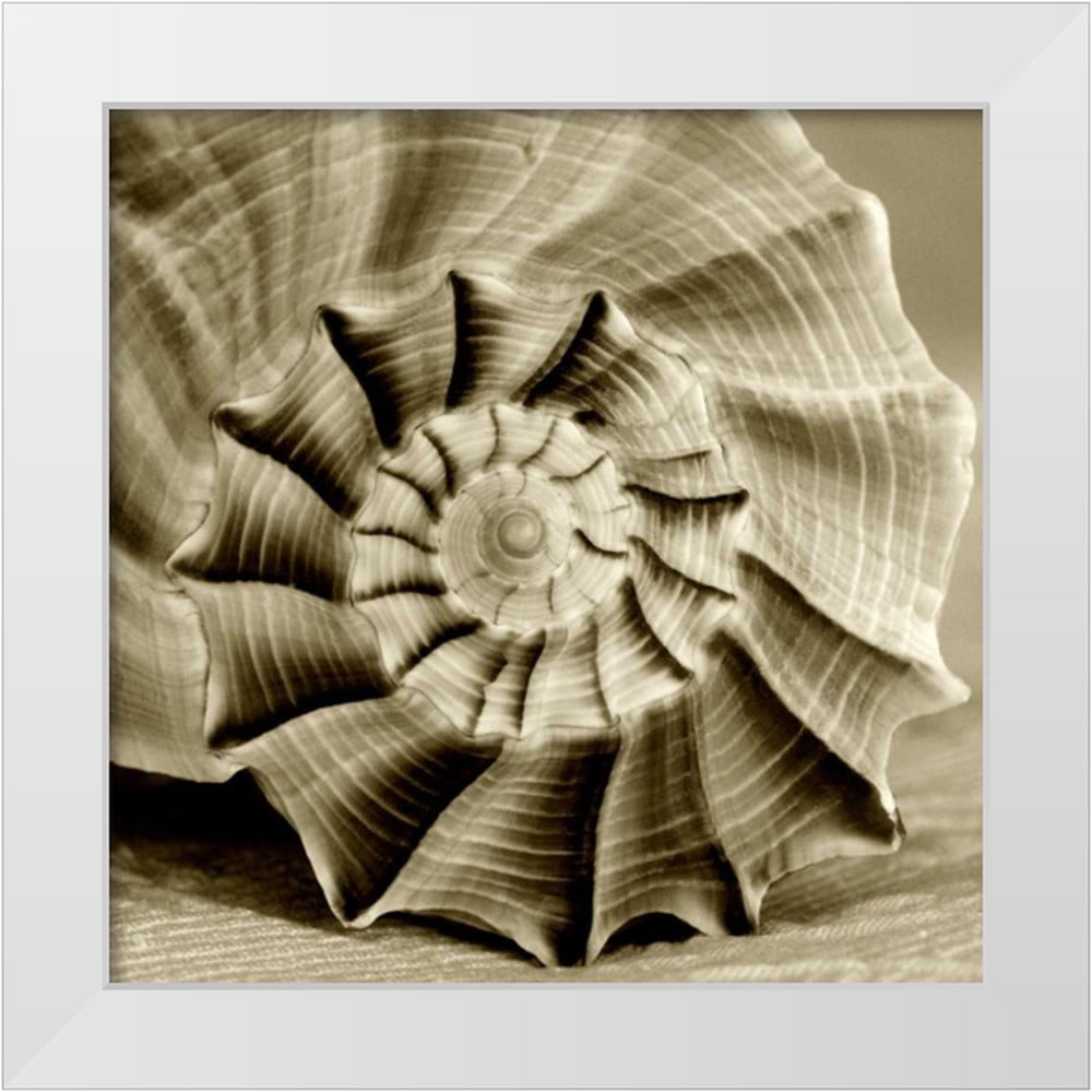 Amber Light Gallery 20x20 White Modern Wood Framed Museum Art Print ...